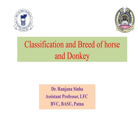HORSE CLASSIFICATION AND BREED OF HORSE AND DONKEY.pptx