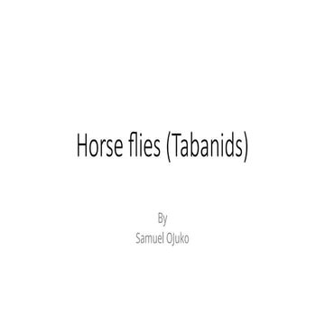 Horse flies (Tabanids). For students. Wk | PPTX
