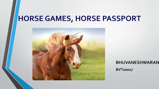 Everything about horse riding | PPT