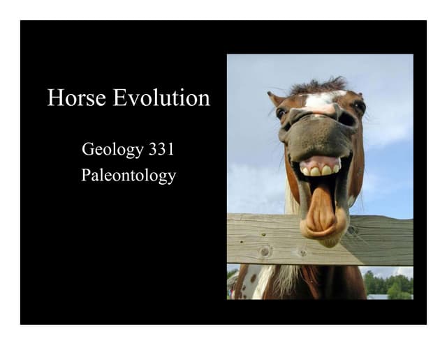 EVOLUTION OF HORSES PPT.pptx