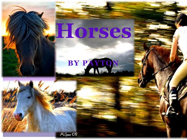 Breeds, Types, and Classes of Horses | PPTX