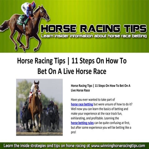 Horse Racing Tips - 11 Steps On How To Bet On A Live Horse Race | PPT