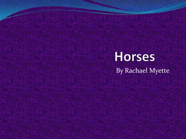 Horse Basics 101 - Breeds | PPTX