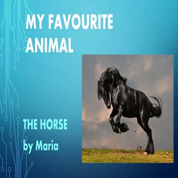 Millie's presentation on Horses :) | PPTX