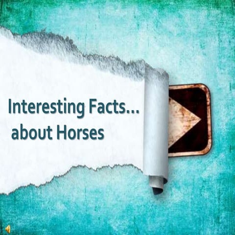Horse powerpoint | PPTX