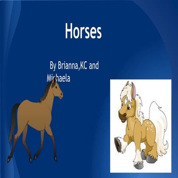 Horses presentation by brianna,kc and michaela 976 | PDF