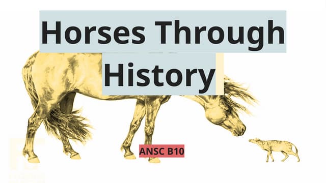 EVOLUTION OF HORSES PPT.pptx