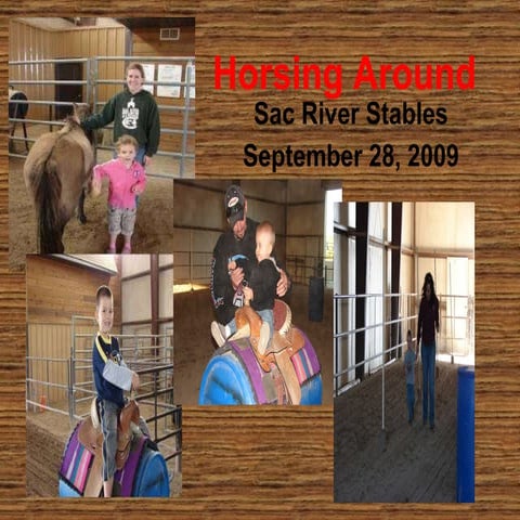 Horsing Around | PPT