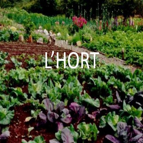 Hort | PPTX