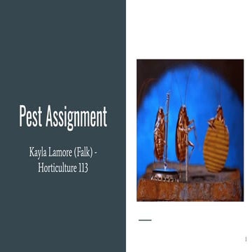 Pest Project | PDF
