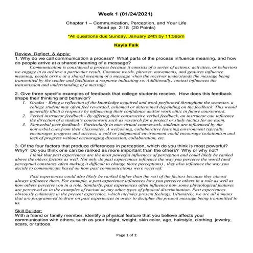 Communication & Perception Assignment | PDF