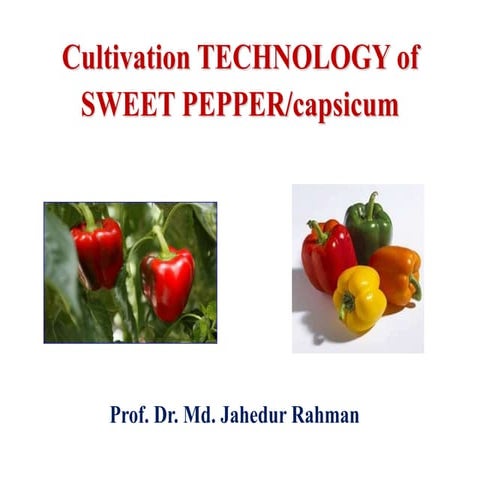 HORT201_capsicum.ppt