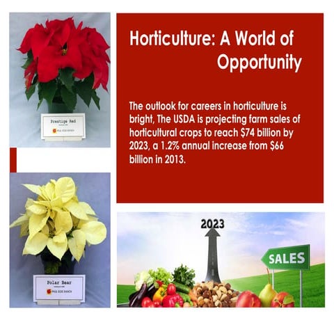 Horticulture introduction - Definition and Branches of Horticulture | PPT