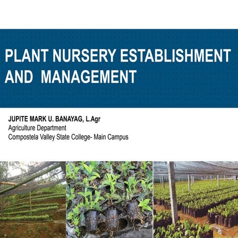 Agricultural Nursery Establishment and Management | PDF