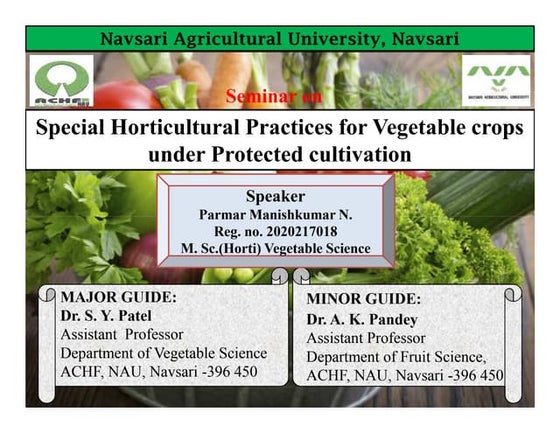 Nursery bed preparation and raising different vegetable crops | PPTX