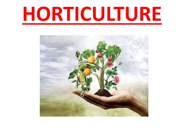 Horticulture ppt | PPTX