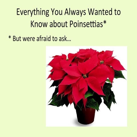 Horticulture 2 poinsettias | PDF