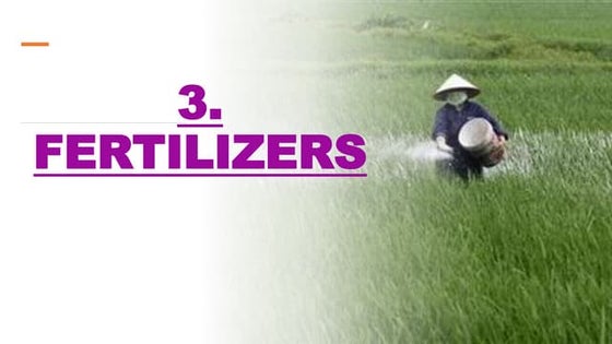 Nutrient use efficiency | PPTX