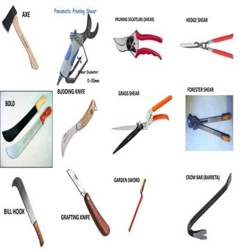 HORTICULTURE HAND TOOLS.pptx