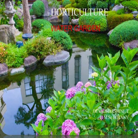 HORTICULTURE Water garden.pptx