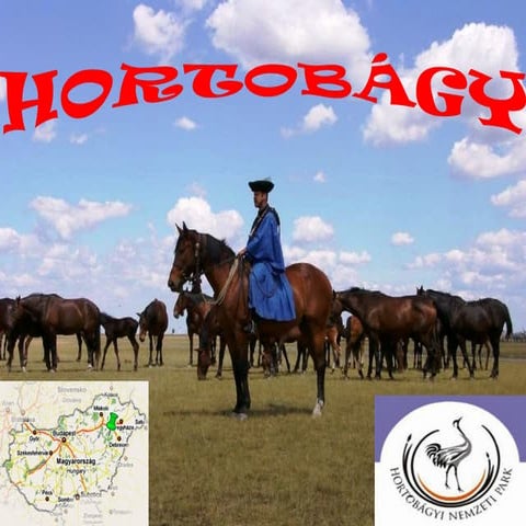 Hortobagy | PPT