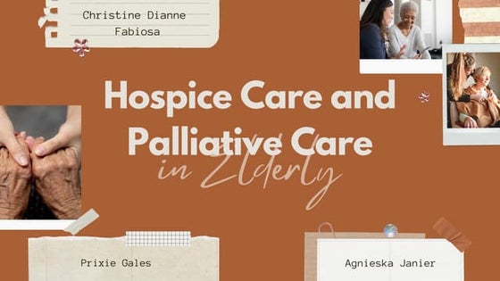 4 Levels of Hospice Care | PDF