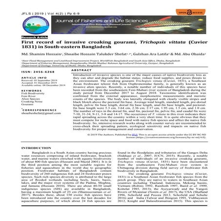 First record of invasive croaking gourami, Trichopsis vittata (Cuvier ...