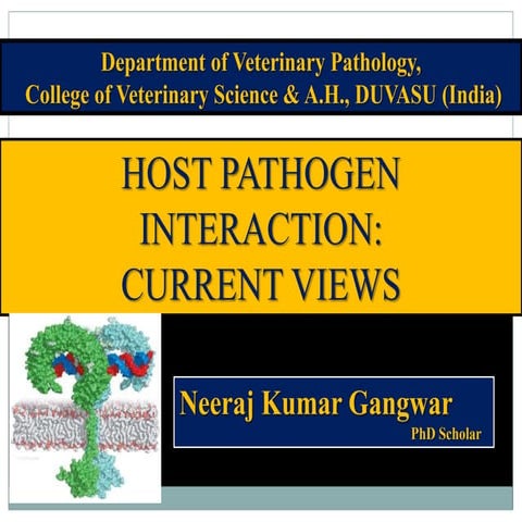Host pathogen interaction.pptx new | PPTX | Infectious Diseases | Diseases and Conditions