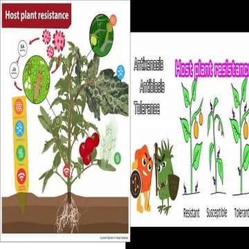 Host plant resistance _PPt.pptx mmmmmmmm | PPTX