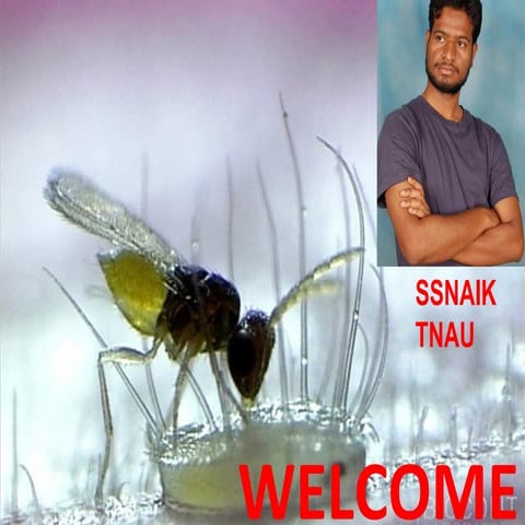 Host selection process by parasitoids -SSNAIK TNAU | PPT