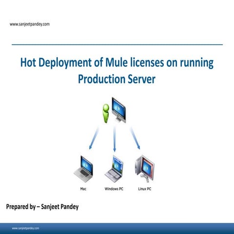 Hot deployment of Mule licences and installing on running production servers | PDF