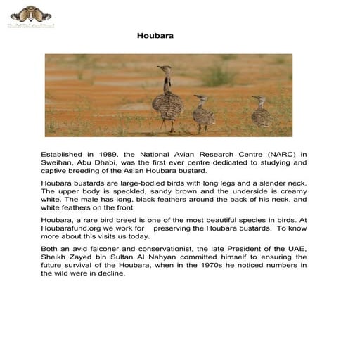 Houbara | PDF