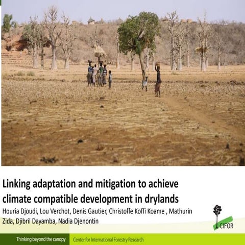 Linking adaptation and mitigation to achieve climate compatible ...