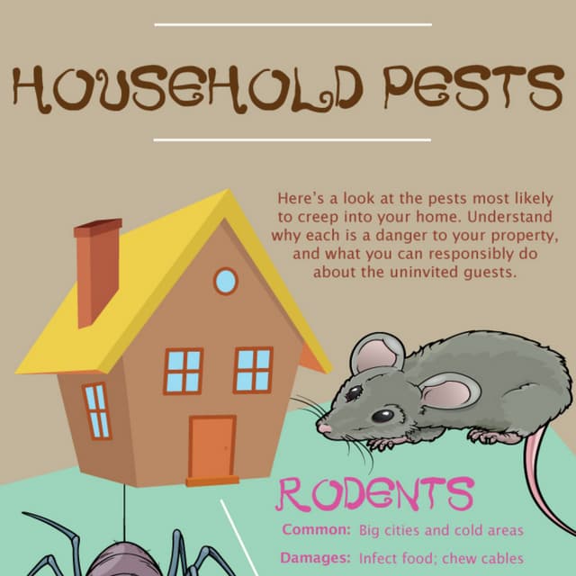 Household Pests | PDF