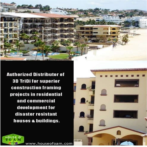 3D TriDi Panel (Houseofoam.com) | DOCX