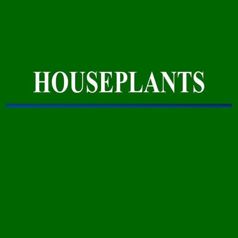 House Plant Introduction.ppt