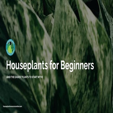 Houseplant resource center webinar houseplants for beginners (and the ...