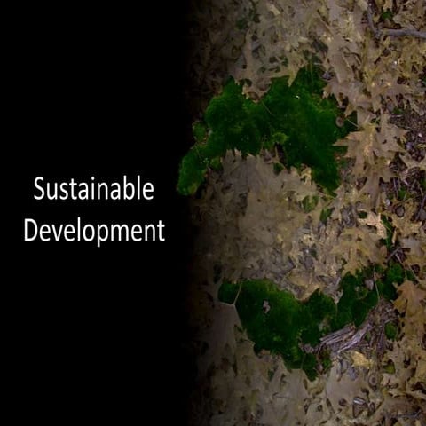 Cluster Housing | PPTX