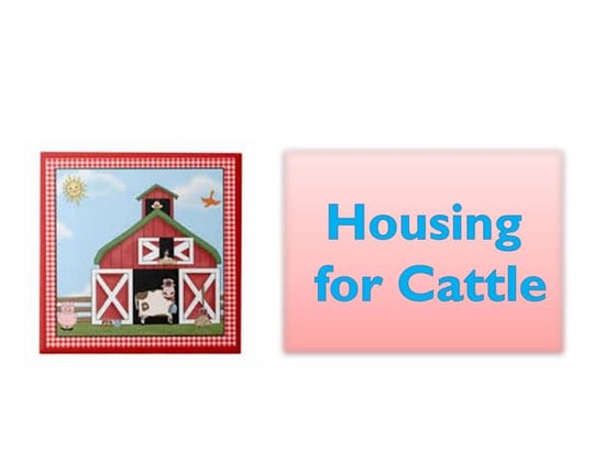 Different types of housing of animals | PPT