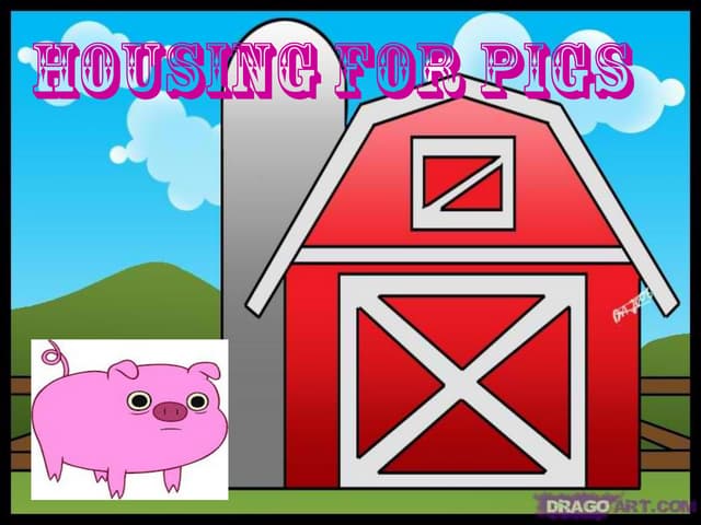 Piggery | PPTX