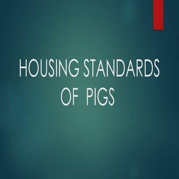 Piggery | PPTX