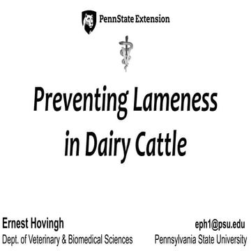Preventing Lameness In Dairy Cattle | PPTX