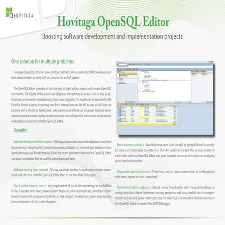 Hovitaga OpenSQL Editor - Product flyer | PPT