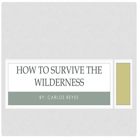 Survival skills | PPTX
