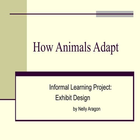 How Animals Adapt | PPT