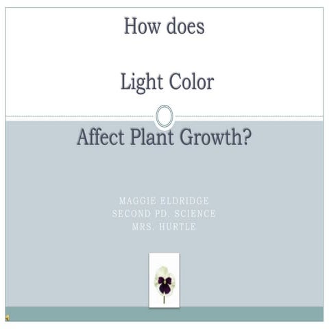 How does the color of the light affect the growth of a plant | DOCX