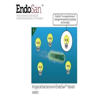 Endoenterprises presentations