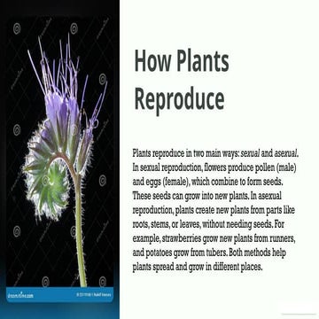 SCIENCE.How-Plants-Reproduce.pptx-1.pptx