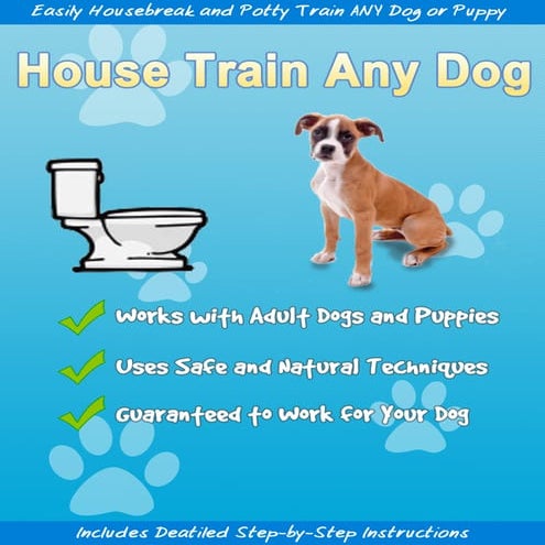 How to-housetrain-any-dog | PDF