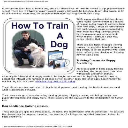 5 levels of dog training | DOC